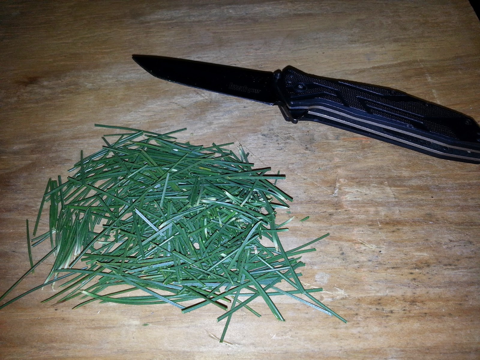 The 7 P's Blog: How to Make Pine Needle Tea