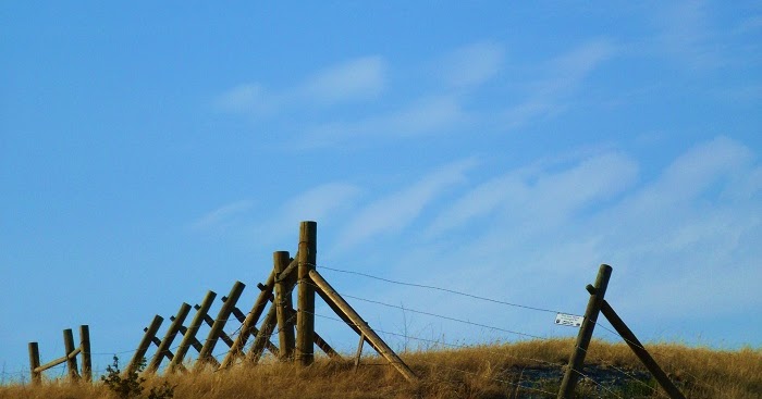 Montana 1 a day.com: Cross Purposes, Ulm, Montana