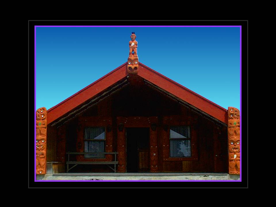 WARREN POHATU CREATIVE: THE MARAE: OVERVIEW