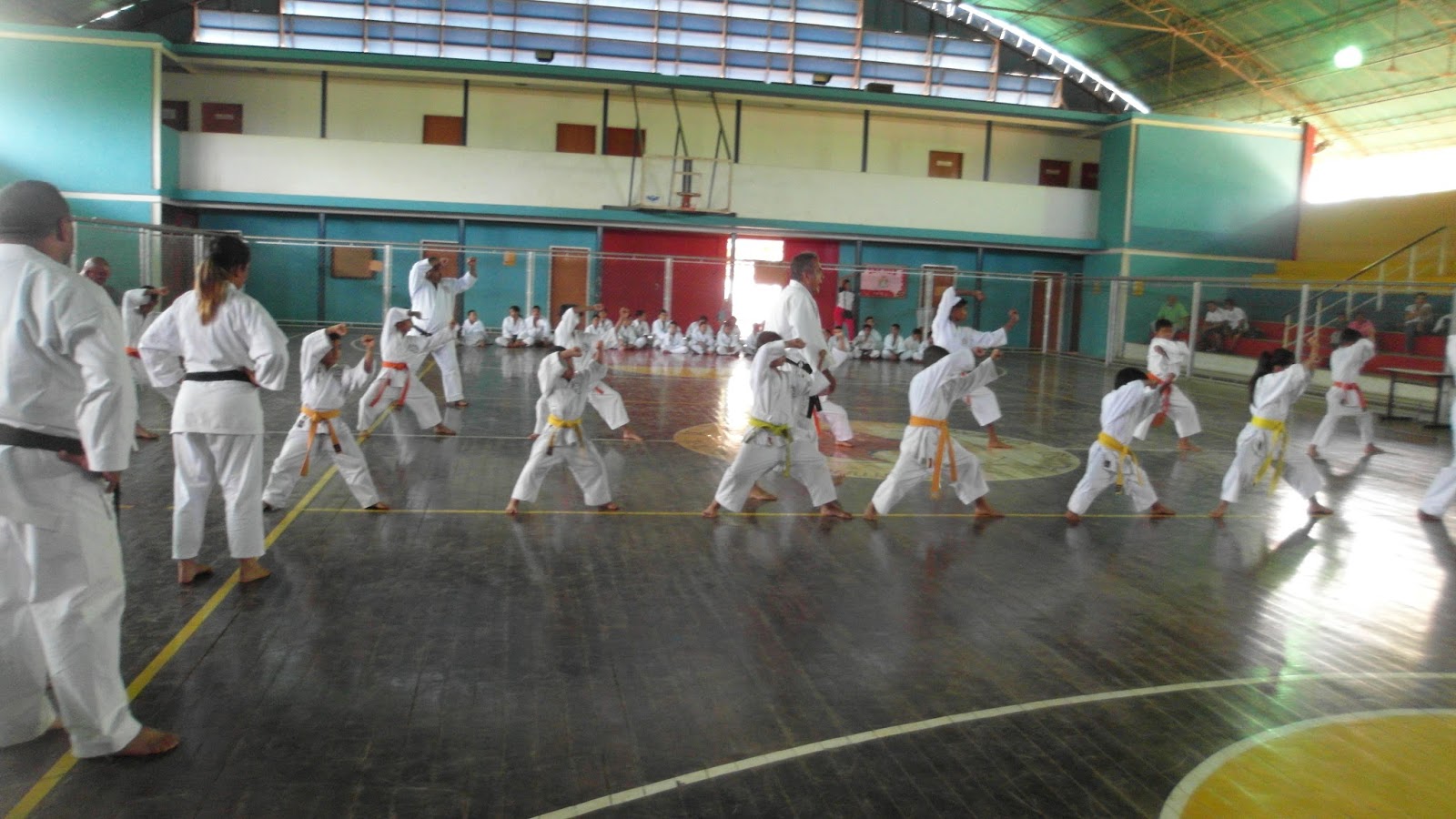 Dojo Kodokai Karate Do Shotokan : 2015
