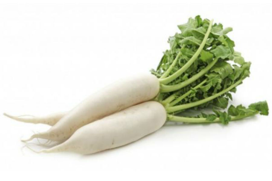 Como plantar nabo Cultivar Plantas Como Plantar