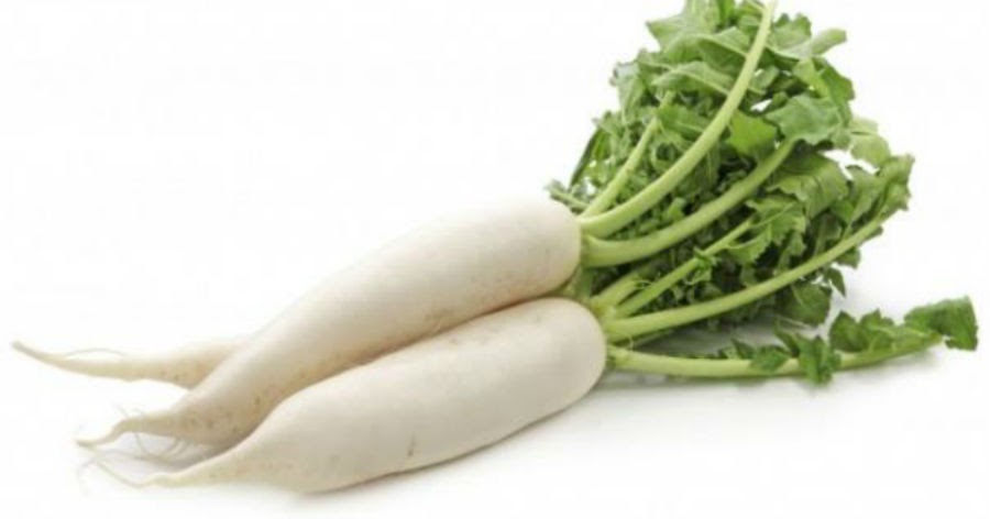 Como plantar nabo Cultivar Plantas Como Plantar