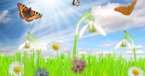 Compuneri despre primavara cu expresii frumoase