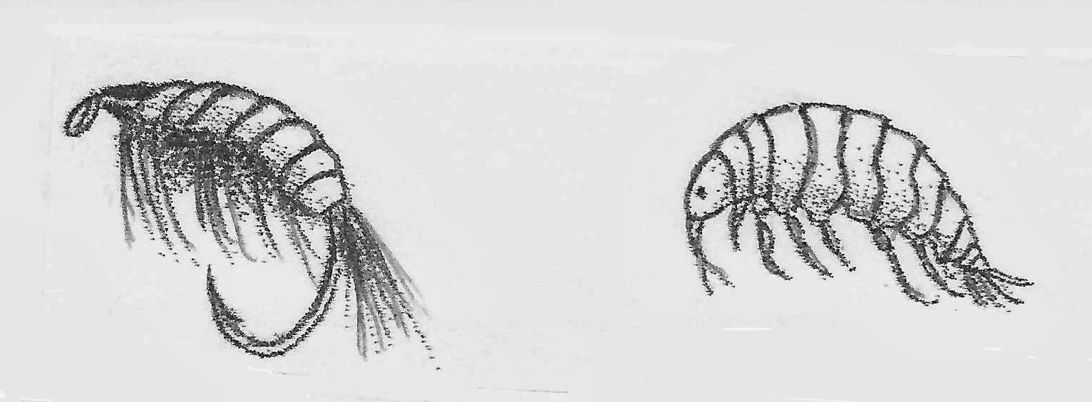 Fly Fishing with Doug Stewart: January 2014