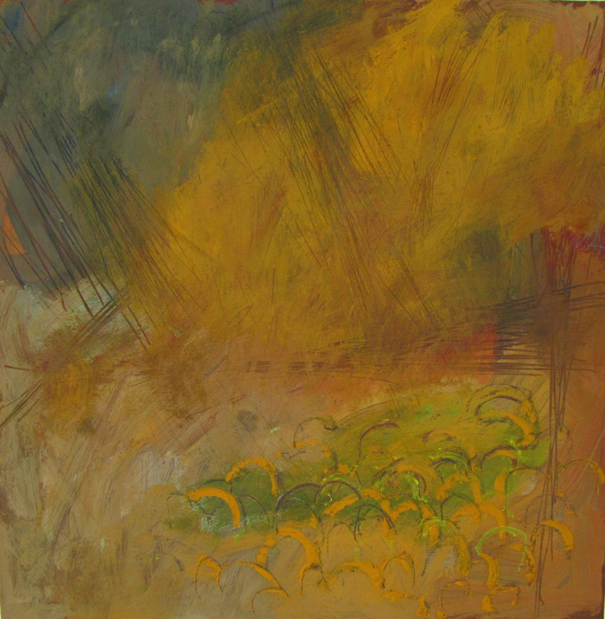 Final CSA Shows and New Work | Jamie Ribisi-Braley