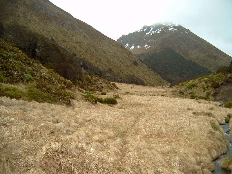 BlogRoddus: Henry Saddle/Anne hut/Foley Creek October 2006