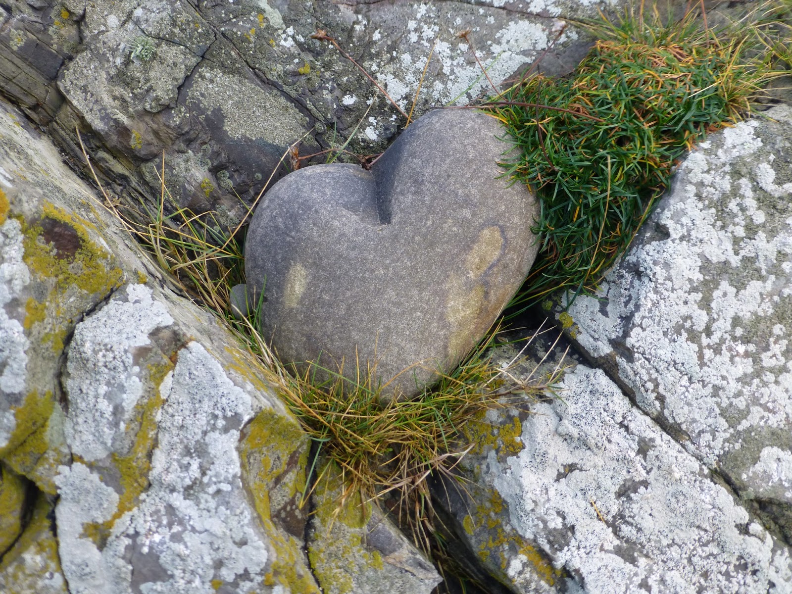 Fair Isle: Nature Lovers! Natural Heart Shapes - Valentine's Day 2013