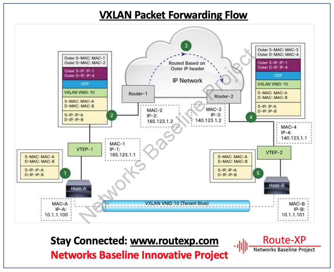 Route XP Private Network Services: VXLAN Encapsulation and Packet Format