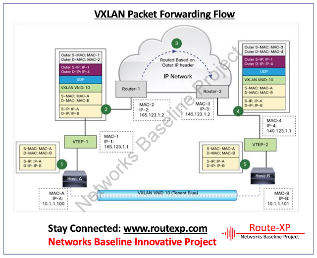 VXLAN Encapsulation and Packet Format - Route XP Private Network Services