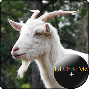 Diogenes' Middle Finger: Google Creates New Social Media Network for ...