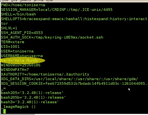 INFORMATICA: VARIABLES