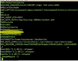 INFORMATICA: VARIABLES