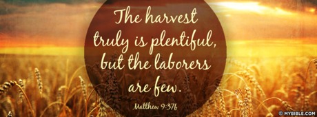 Walking with Jesus: Day 21: Matthew 9:14-39 & Psalm 21 - Are You ...