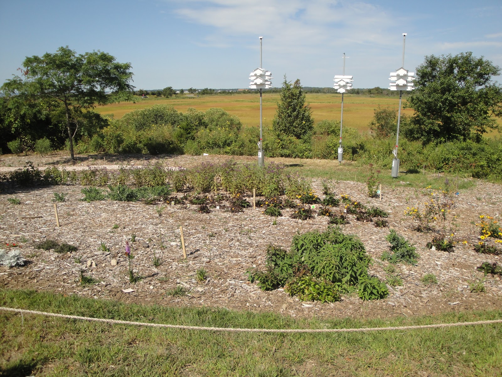 The Pringle Plan: Meigs Nature Center
