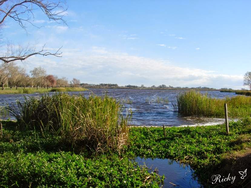 RiCKy: La Laguna de San Vicente