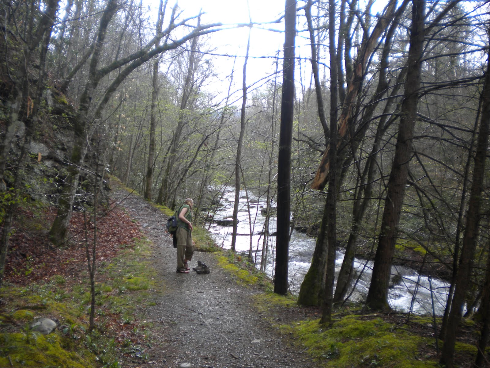 800 Miles Is A Real Humdinger