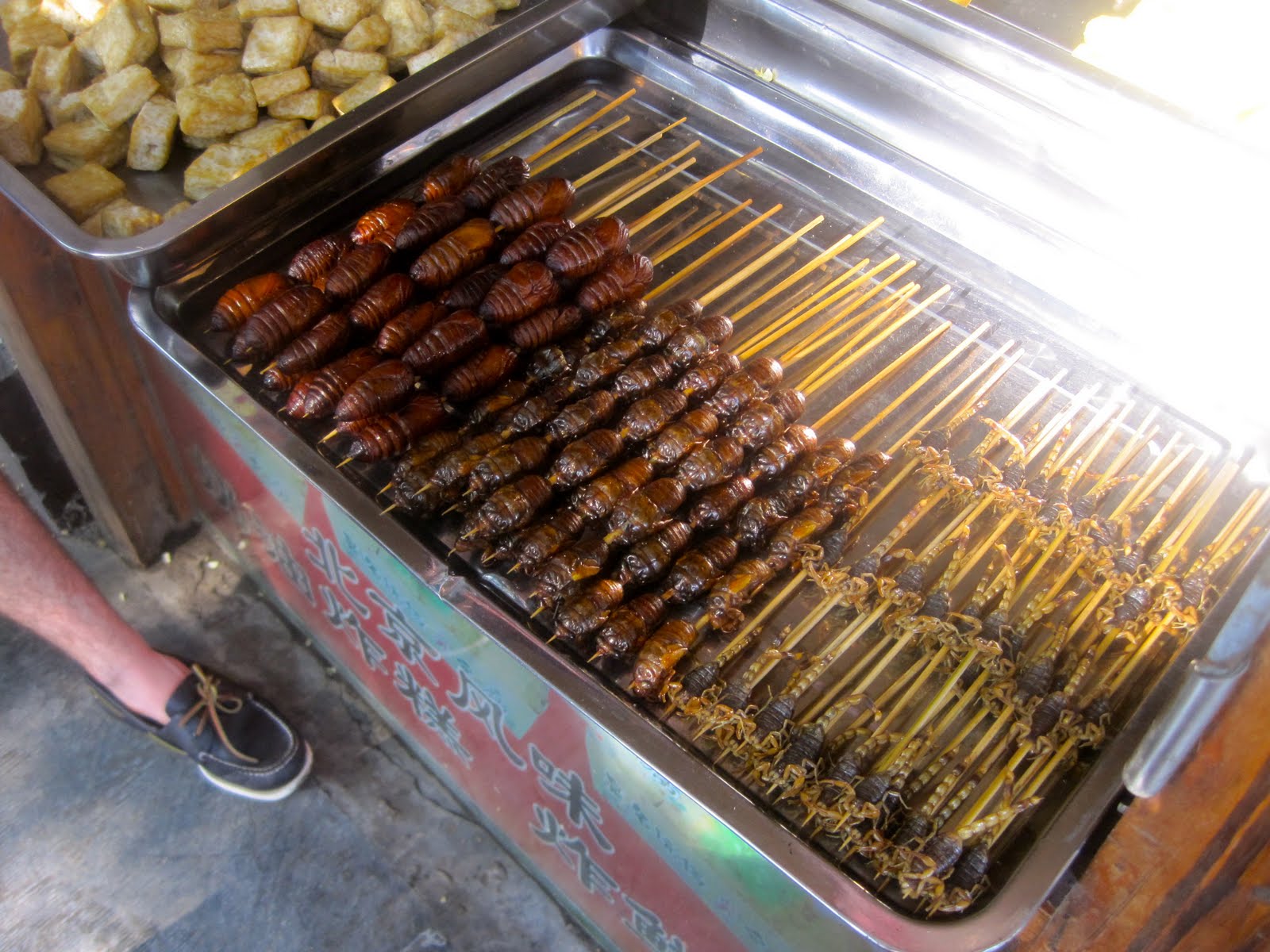 Nightly Noms: Bug Eating: Foodie Travels in Beijing, China