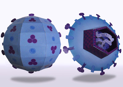 Herpes Virus Papercraft | Papercraft Paradise | PaperCrafts | Paper ...