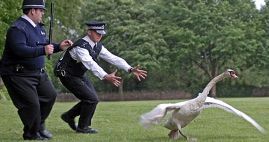 Hot Fuzz (2007) | Me On The Movie