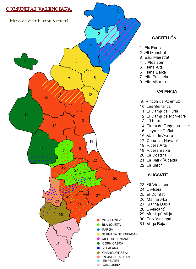 Biovedruna: Ruta del Olivo: Restaurar zonas improductivas del olivar ...