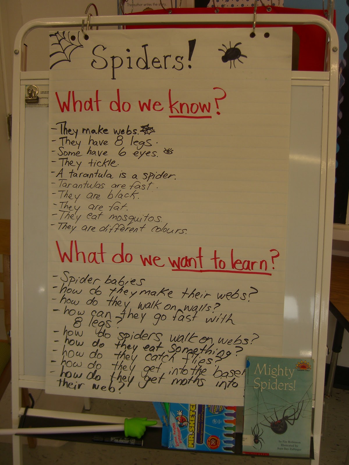 First Grade Garden: Aaaaargh! Spiders!