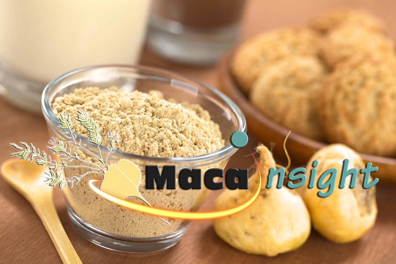 Propiedades de la Maca | Maca Insight