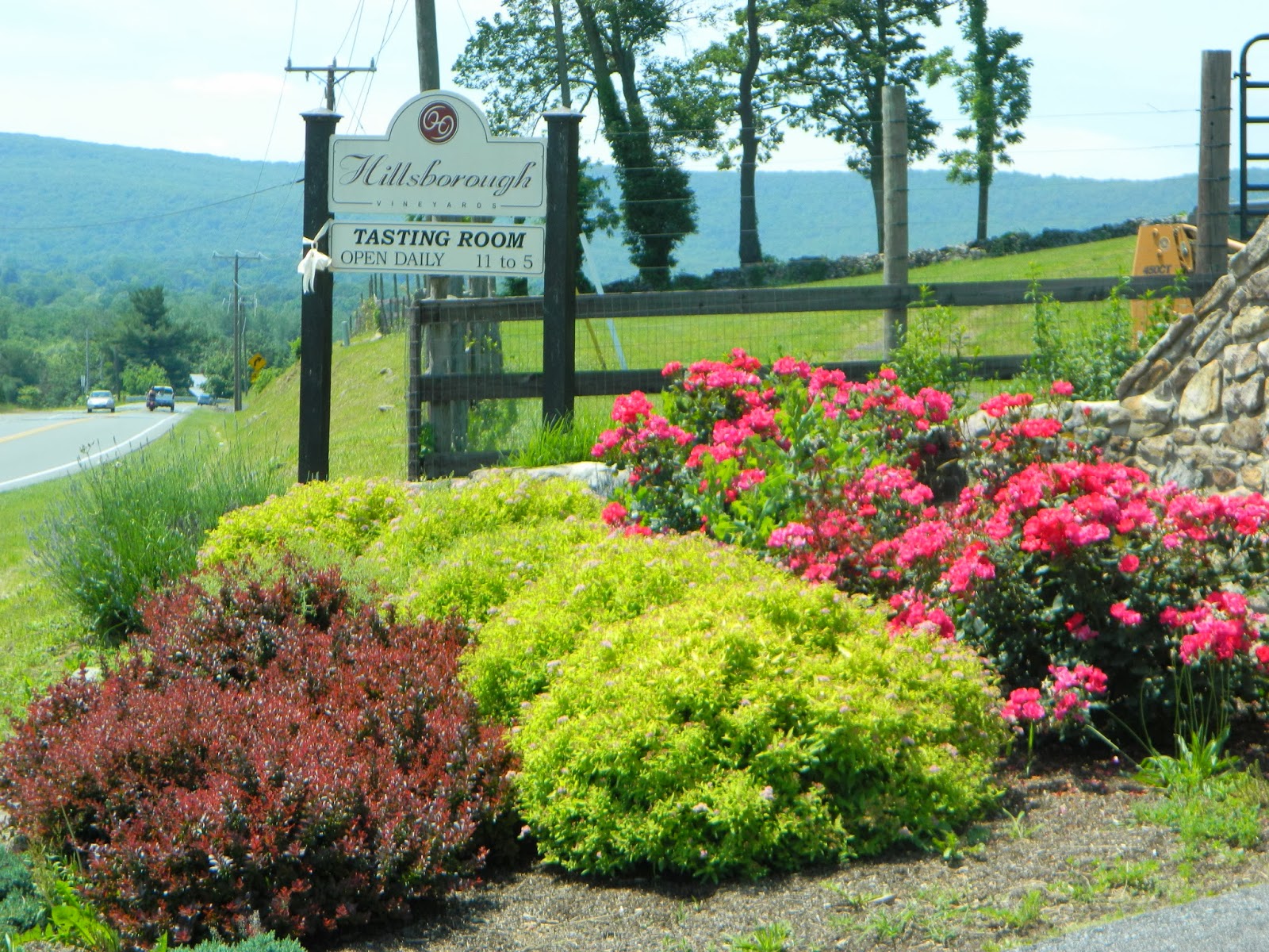 East of the Blue Ridge: Northern Virginia Steeplechase Horse Racing and ...