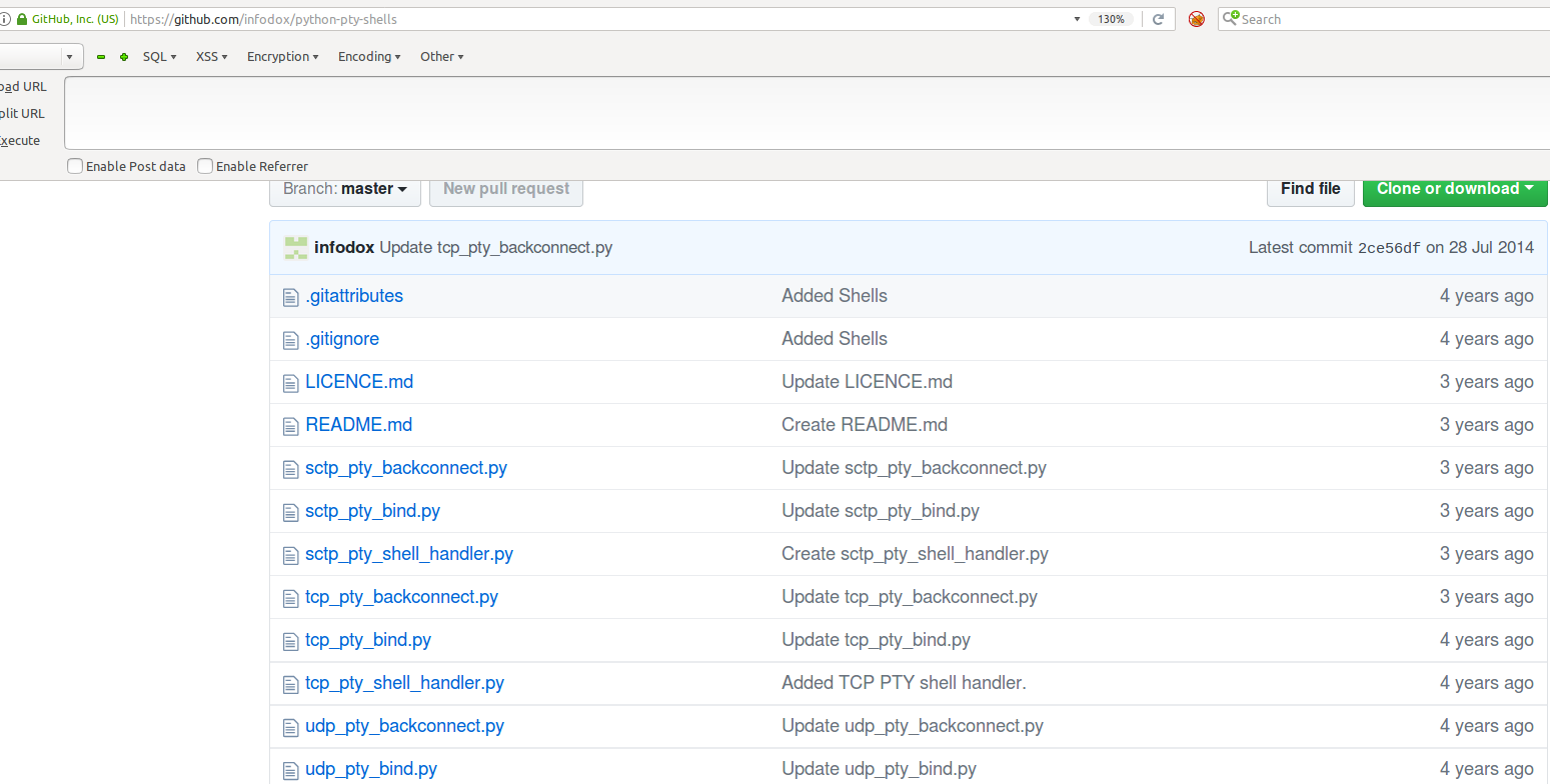 Seguridad informatica: SHELL INTERACTIVA