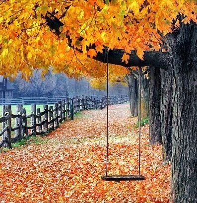 Autumn Swing... ~ Photos Hub