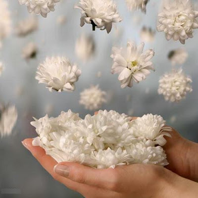 NA PIOR DAS PERDAS: FLORES DE SAUDADE: