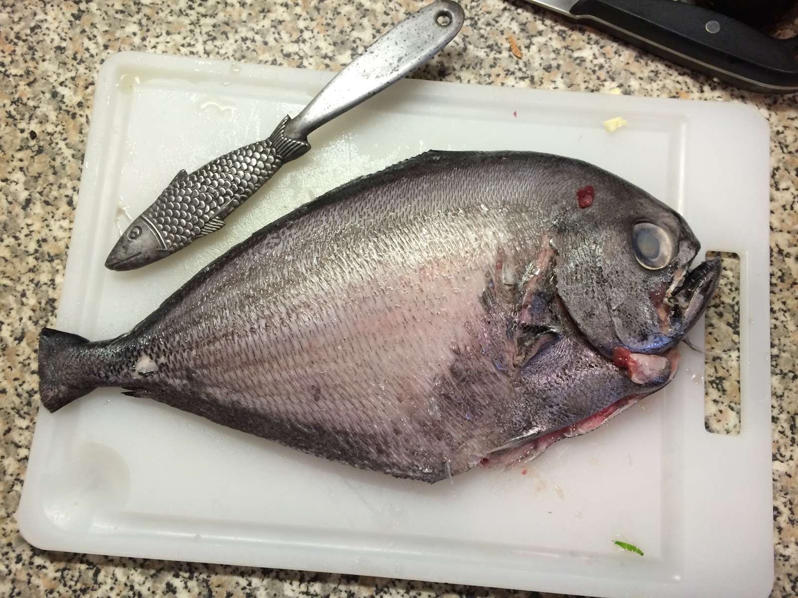 John's Blog: JAPUTA (Ray's Bream) Roasted
