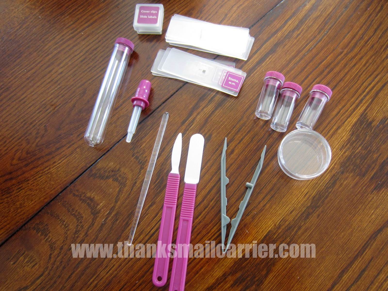 Thanks, Mail Carrier | Get Kids Excited About Science with Nancy B’s ...