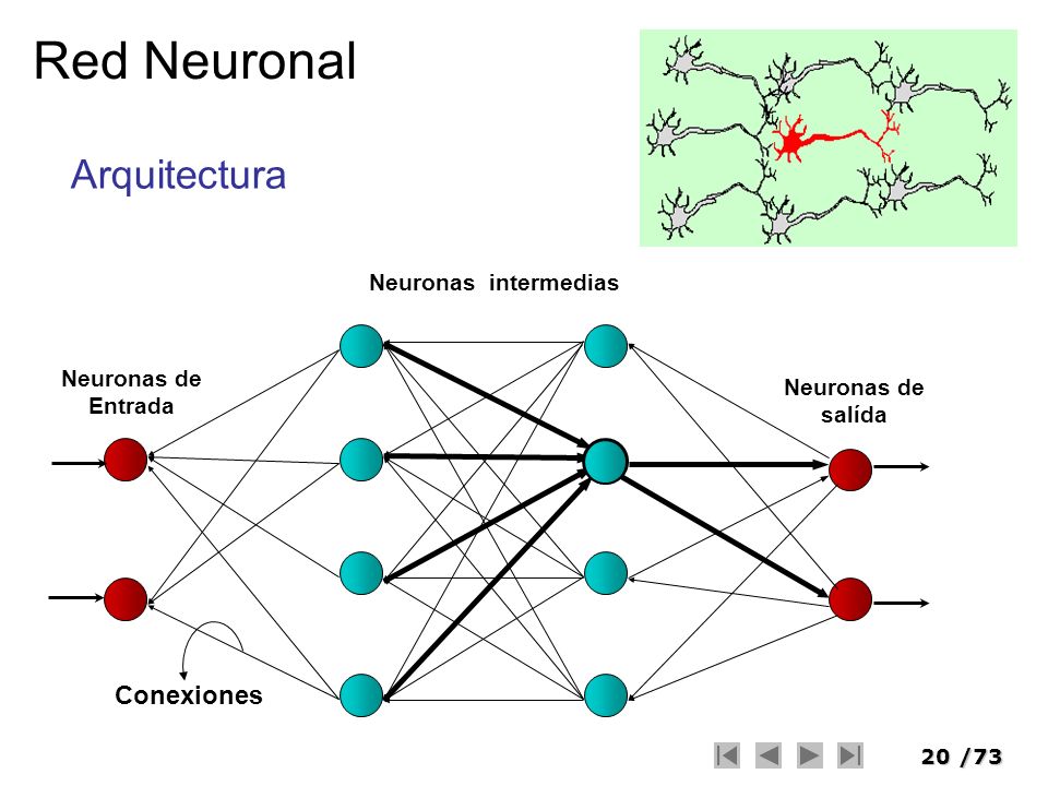 Sistemas Inteligentes: Redes Neuronales