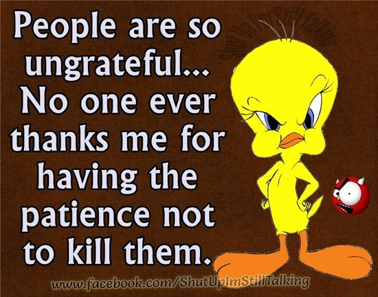 30 Best Funny Tweety Bird Quotes