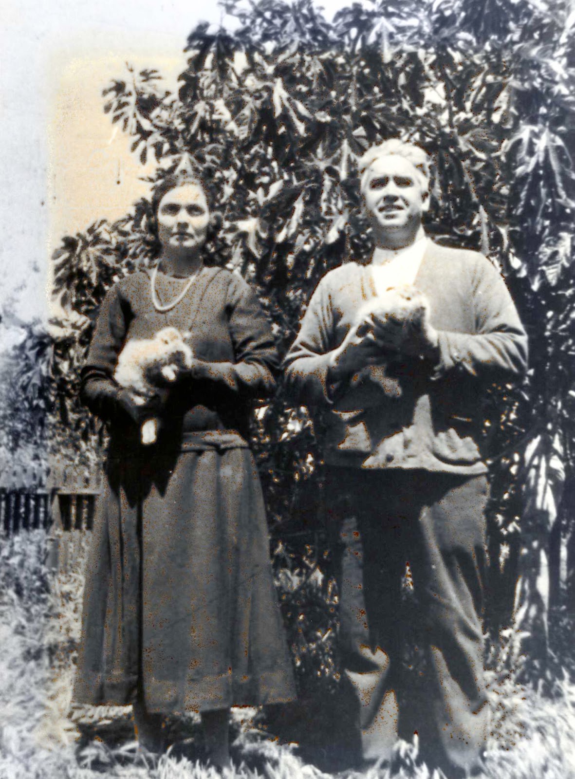 Fahrbach/Barela Family History