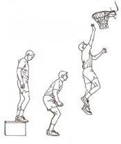 begin to dig: Plastic vs Elastic when talking about Human Perfomance