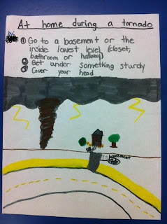 Severe Weather Posters - For the Love of Teaching