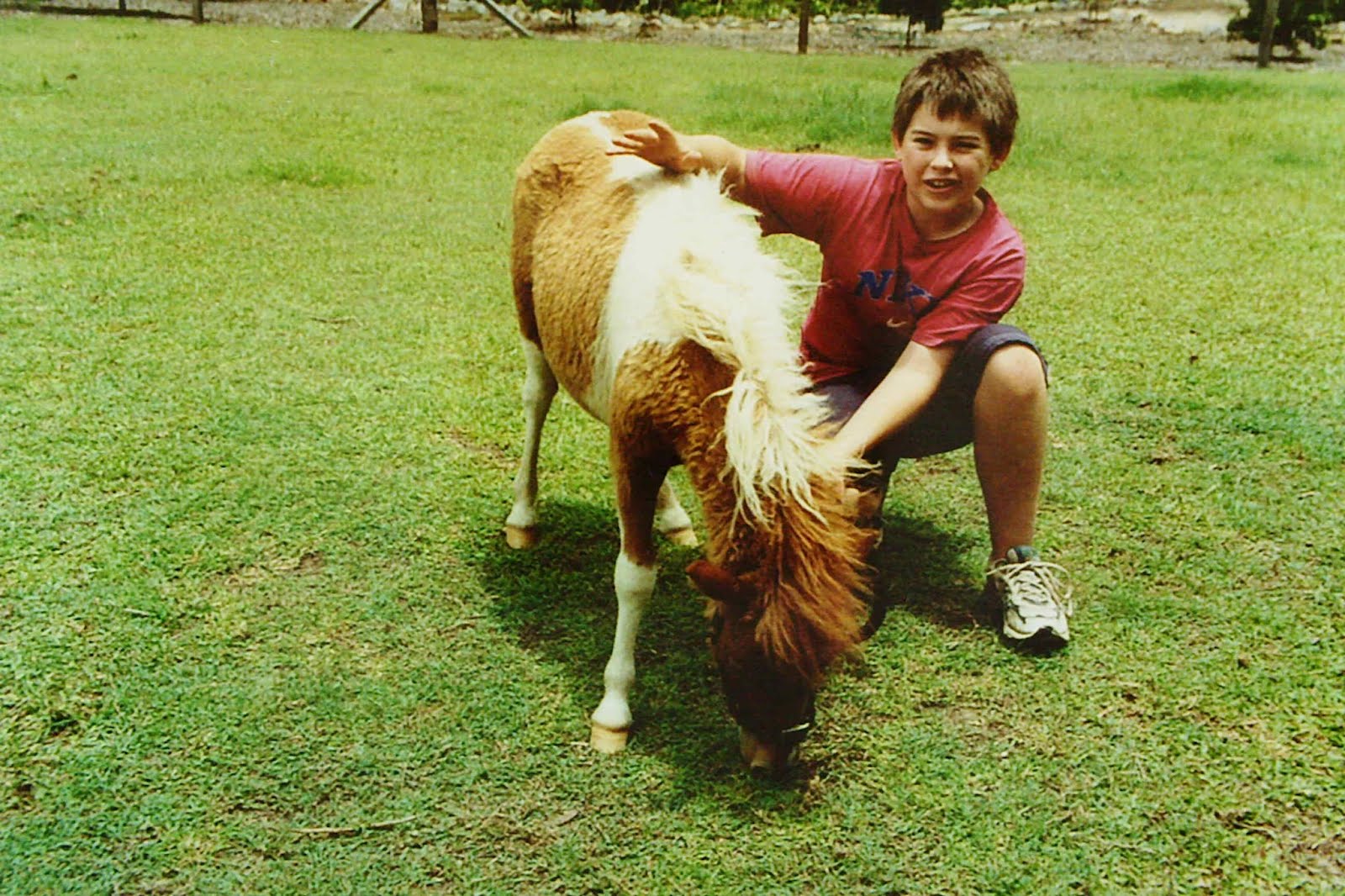 Daniel Morcombe: Photos of Daniel Morcombe