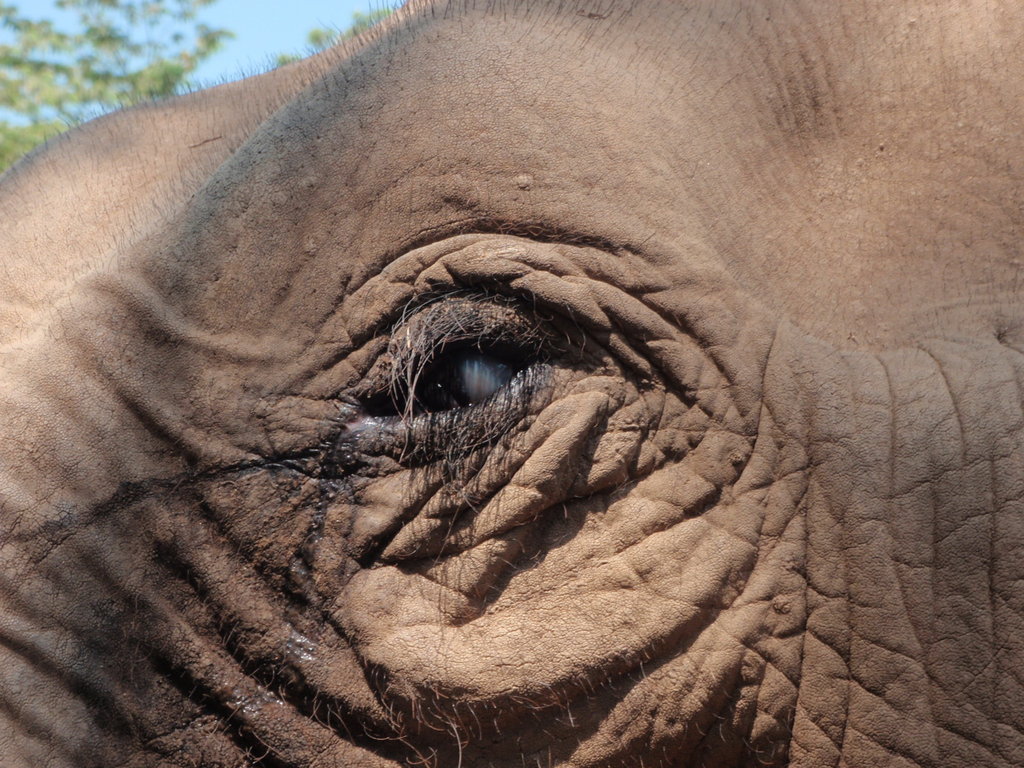 I am His, He is Mine: The Greatest Show on Earth