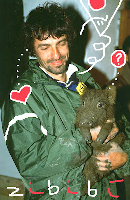 Zibibì from Italì: Huggy Boar_ Zanne d'amore