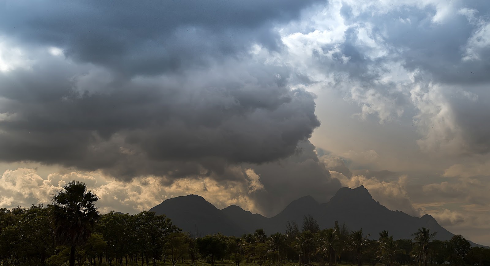 Tamilnadu Tourism: Kalakkad Mundanthurai Tiger Reserve, Thirunelveli