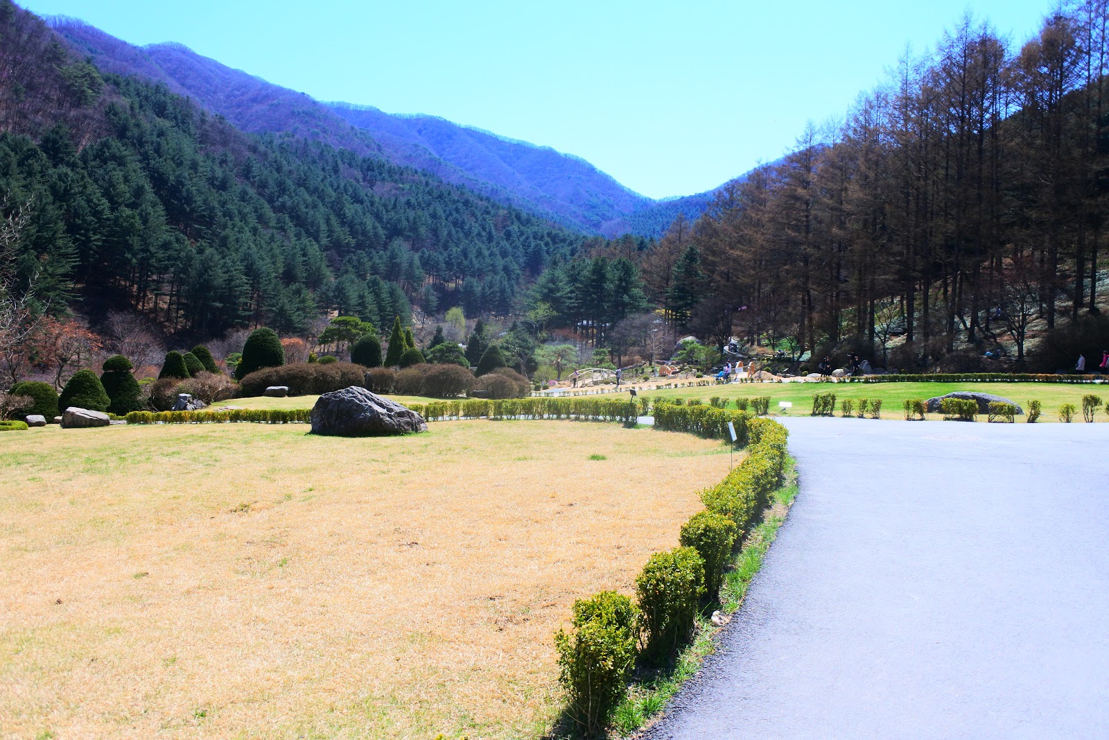 Jalan - jalan Korea 2017: Musim bunga di Garden of Morning Calm dan ...