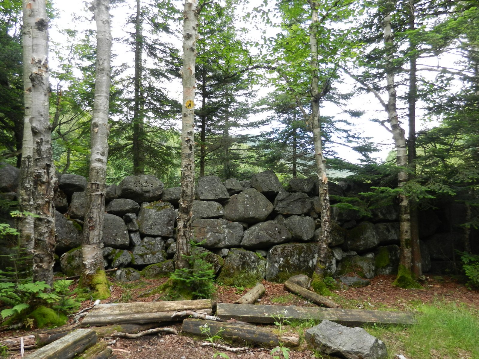 Off on Adventure: MacNaughton Mountain - 7/5/12