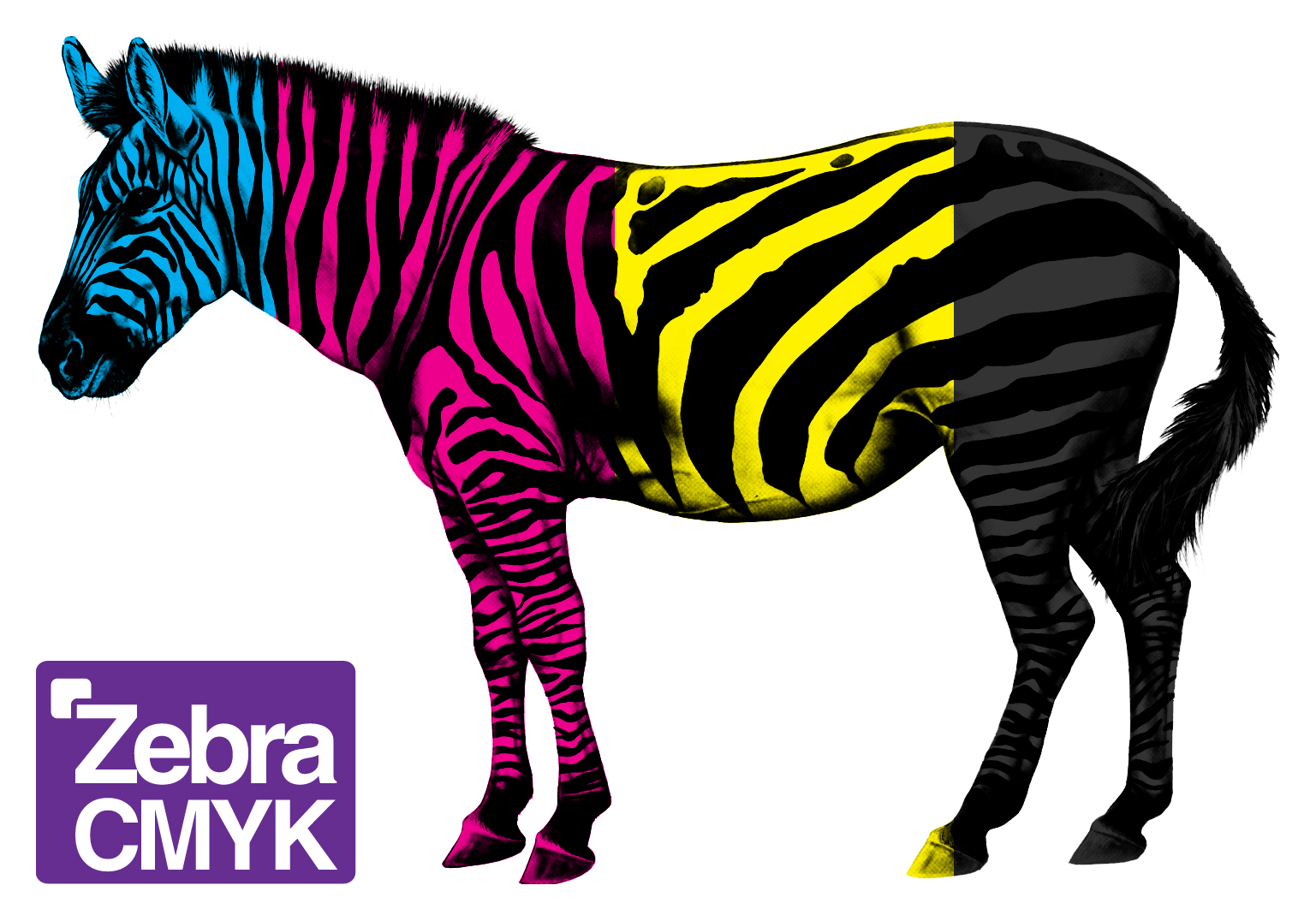 Basta Juan!: Zebra CMYK.