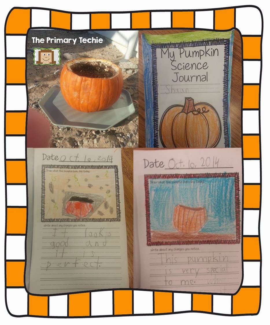 The Life Cycle of a Pumpkin with Free Science Journal | The Primary Techie