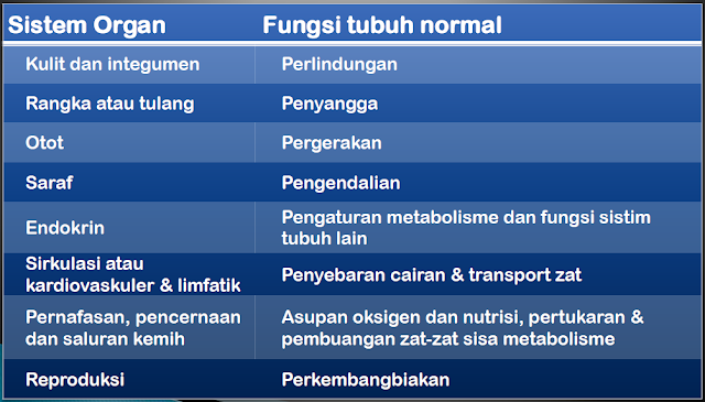 Anatomi Fisiologi Dasar Sistem Organ Tubuh Manusia ~ Djarare Nenq