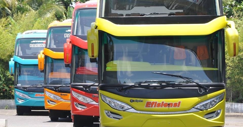 Kontak Agen Bus Efisiensi