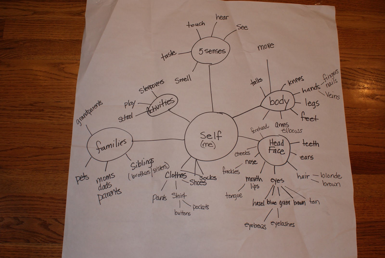 Visible Thinking Routines: Concept Maps