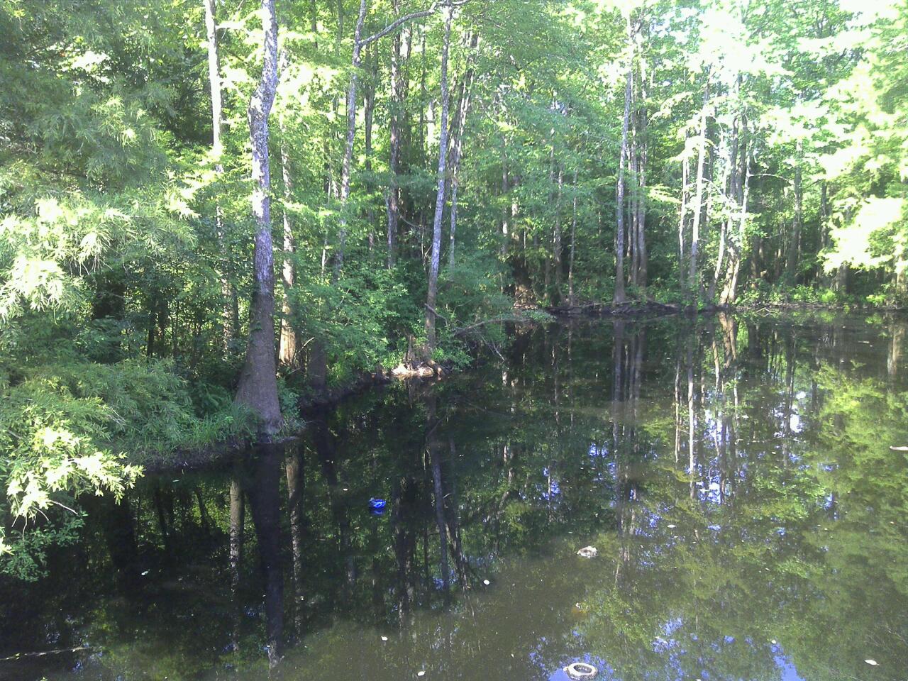 SEATTLE TO JACKSONVILLE BY BIKE: Day 62 - Swamp Home Alabama