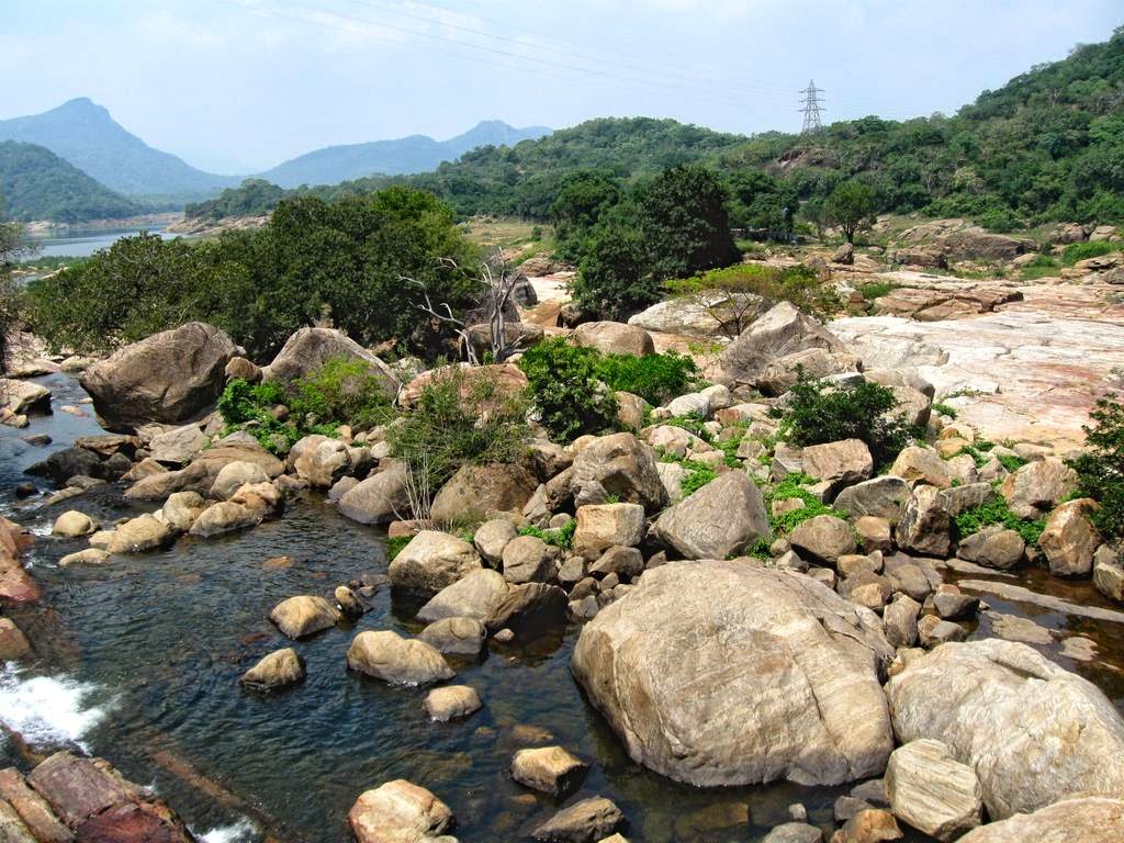 Tamilnadu Tourism: Kalakkad Mundanthurai Tiger Reserve, Thirunelveli